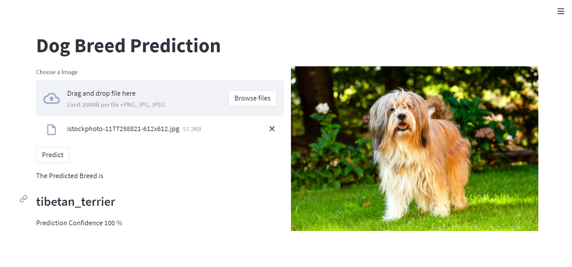 Subhradeep's Portfolio